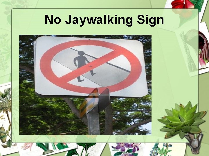 Lessons 1 2 Rules and Customs of Singapore