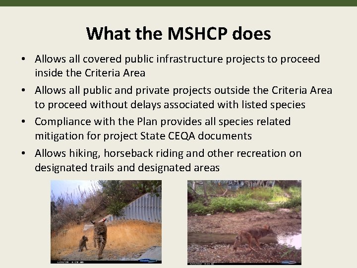 Habitat Conservation Plans Landscape Level Conservation in a