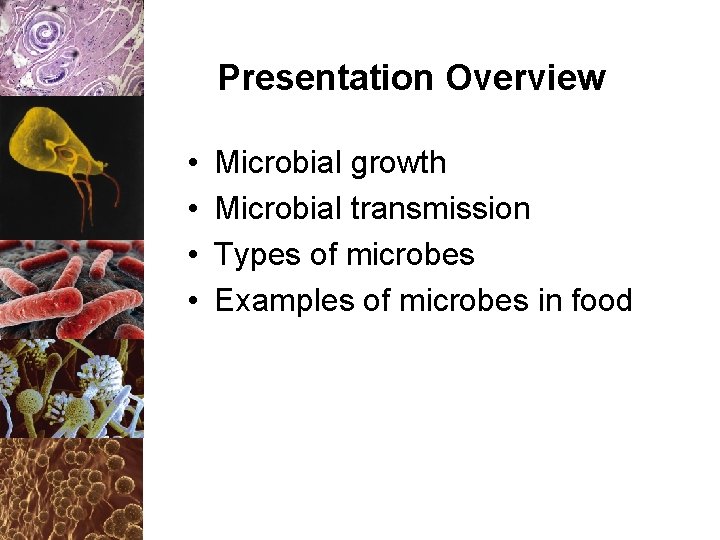 Food Safety Microbial Growth By Jennifer Turley and