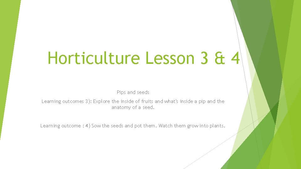 Horticulture Lesson 3 4 Pips and seeds Learning