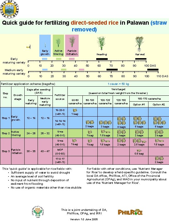 Quick guide for fertilizing directseeded rice in Palawan