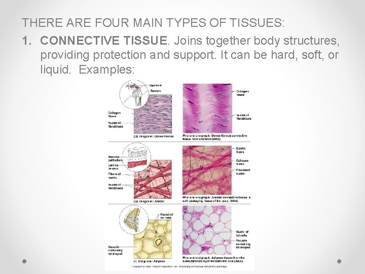 Human Biology Which of these amazing statements about