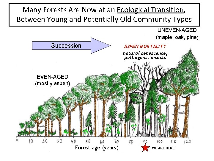 150 Is The New 80 Continuing Carbon Storage