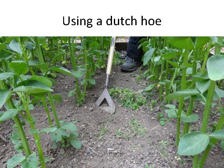 Using tools efficiently How to get the best