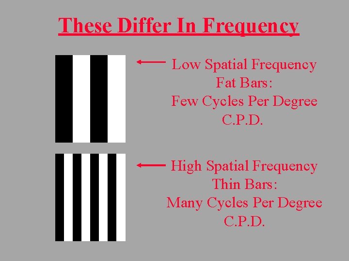 Some Background on Visual Neuroscience Why do things