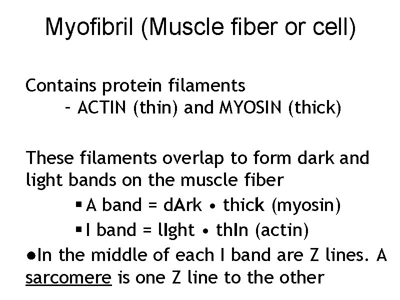 Muscular System Overview Types of Muscle Skeletal striated