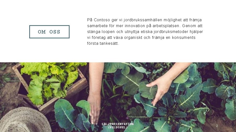 SLJPRESENTATION BILDSPEL Mirjam Nilsson P Contoso ger vi