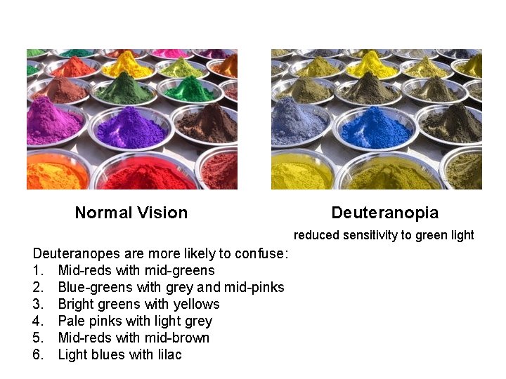 Color Blindness How the Eye Works Rods located
