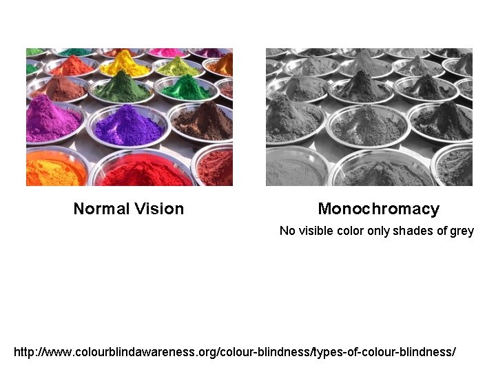 Color Blindness How the Eye Works Rods located