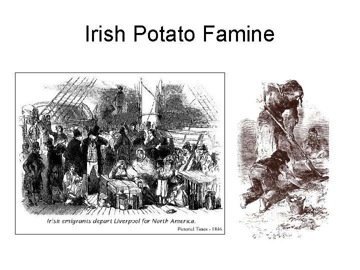 Absolute Monarch Louis XIV of France Scientific Revolution