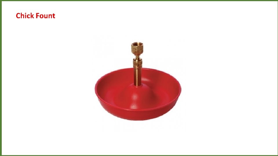 DAS Department of Animal Sciences UOS Broiler and