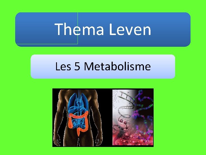 Thema Leven Les 5 Metabolisme Metabolisme Stofwisseling Uitwisseling
