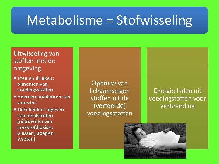 Thema Leven Les 5 Metabolisme Metabolisme Stofwisseling Uitwisseling