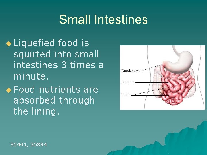 Human Body u u TSW describe the structure