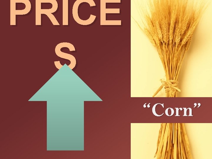 REFORM IN BRITAIN 1815 1848 Karl Marx believed