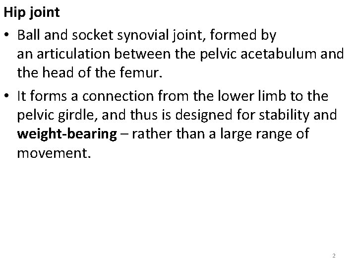 Joints of the Lower Limb ANA 208 Hip