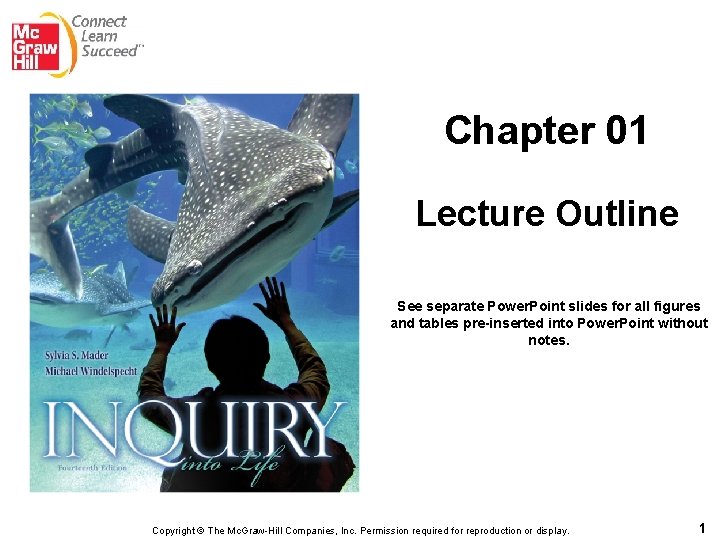 Chapter 01 Lecture Outline See separate Power Point