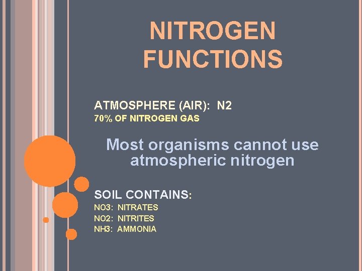 NITROGEN CYCLE MOVEMENT BETWEEN PLANTS ANIMALS BACTERIA ATMOSPHERE