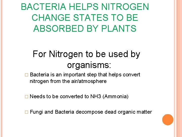 NITROGEN CYCLE MOVEMENT BETWEEN PLANTS ANIMALS BACTERIA ATMOSPHERE