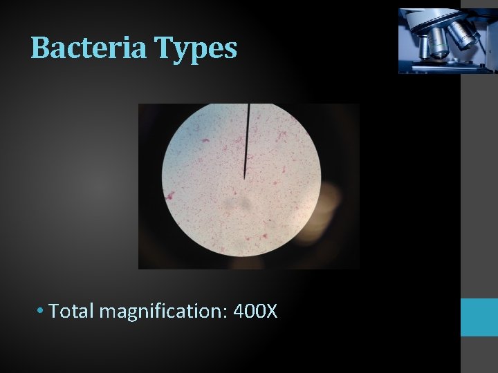 Microscope Kingdoms Lab Directions Use the following Power