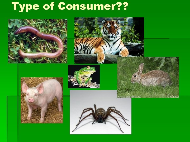 Ecology Unit Chapters 15 16 Part 1 Living