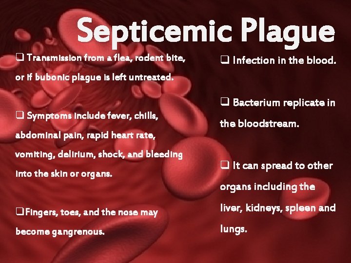 Yersinia pestis By Andrea Robertson Septicemic Plague Pneumonic