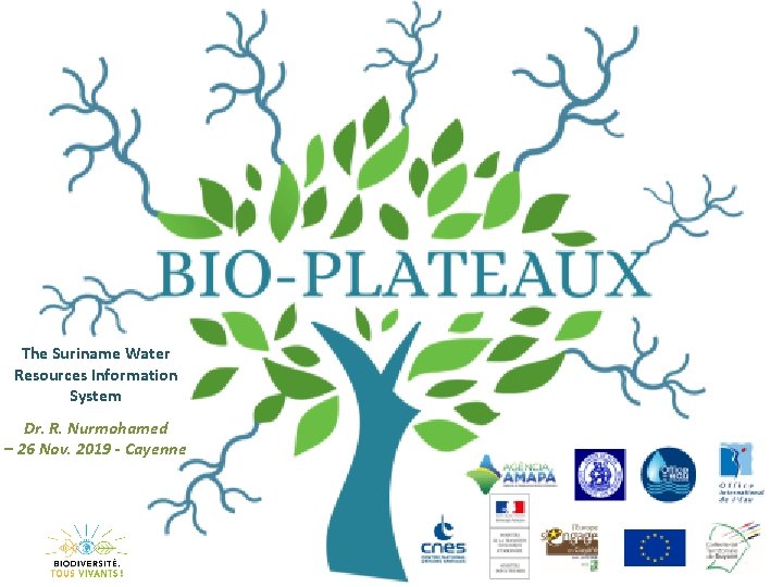 The Suriname Water Resources Information System Dr R