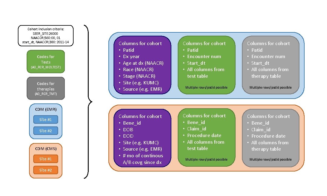 Cohort inclusion criteria SEERSITE 26000 NAACCR560 00 01