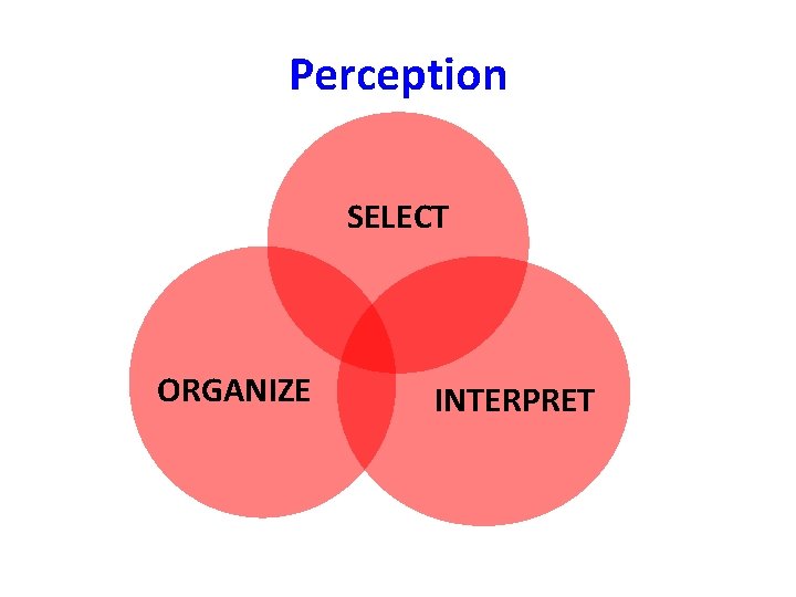 PERCEPTION Perception SELECT ORGANIZE INTERPRET Perception ORGANIZE INPUT
