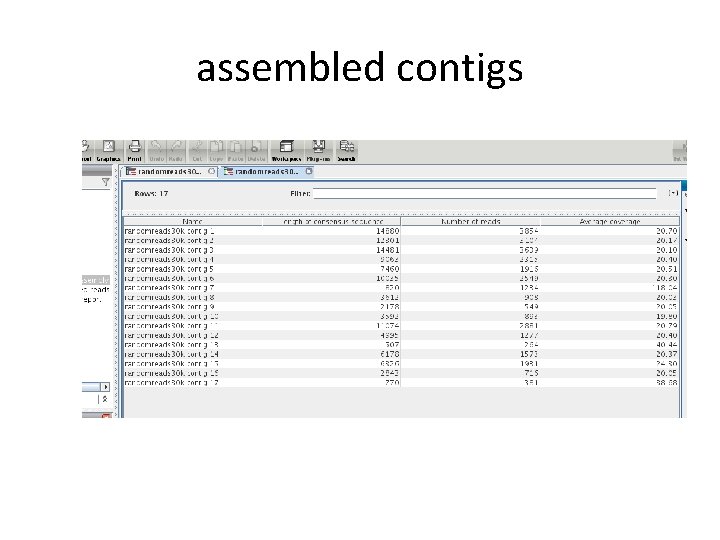 Denovo genome assembly and analysis outline De novo
