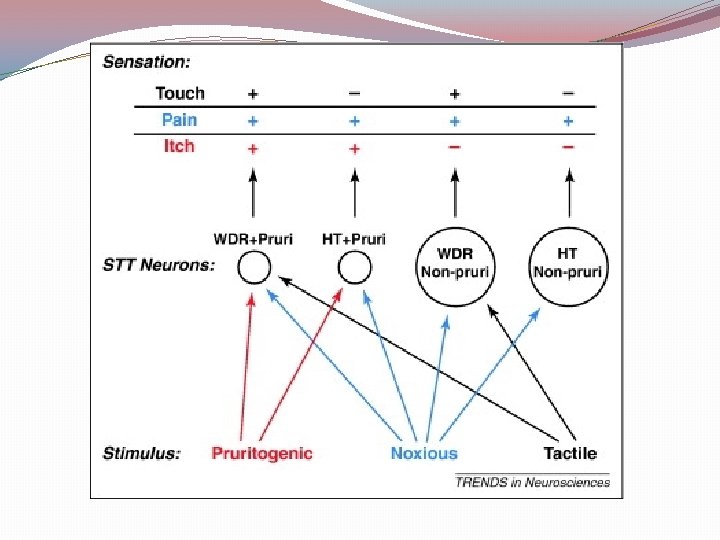 PostBurn Pruritus Thinking Beyond Scratching The Surface Rajeev