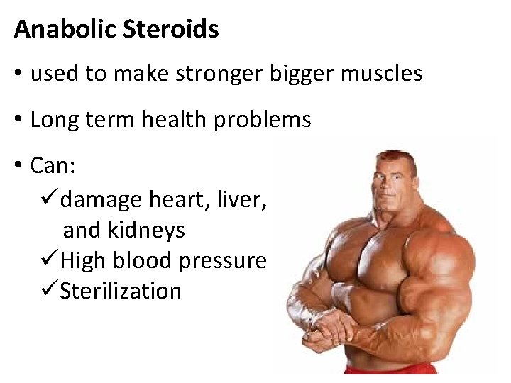 The Muscle System Muscular System The organ system