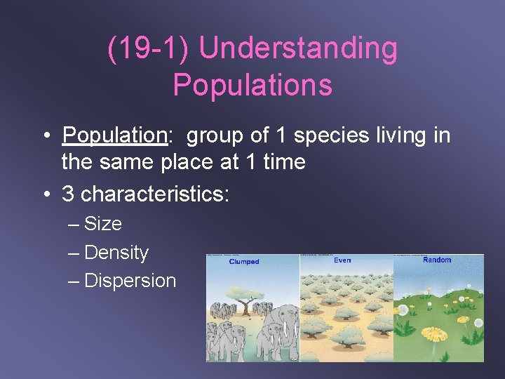 Populations Ch 19 19 1 Understanding Populations Population
