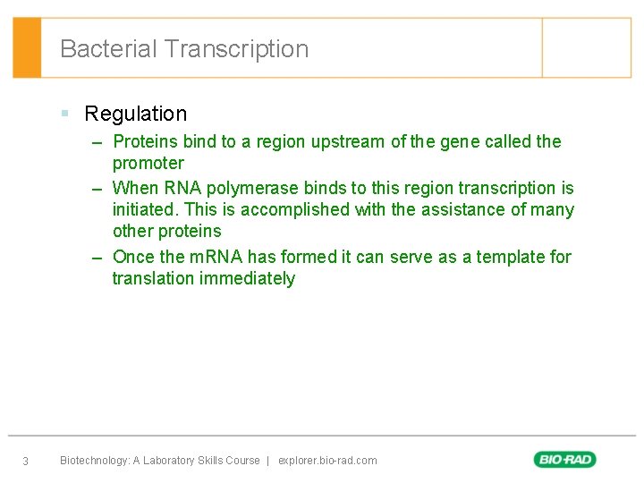 Protein Structure and Analysis Chapter 7 Background Protein