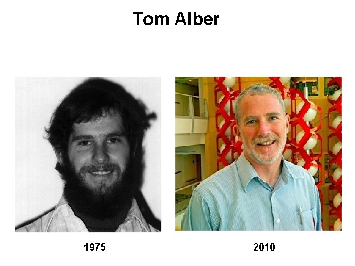 Forty Years of Crystallographic Studies of Protein Structure