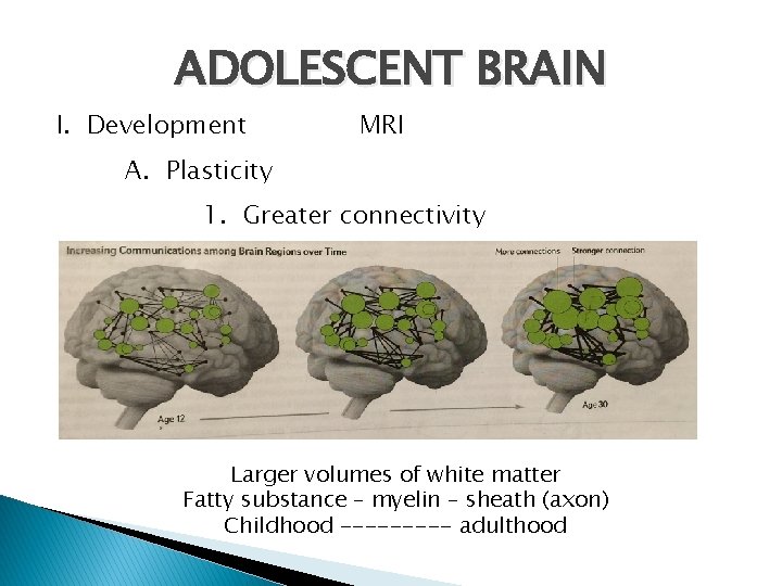 THE ADOLESCENT BRAIN UNIQUE Not an Older Child