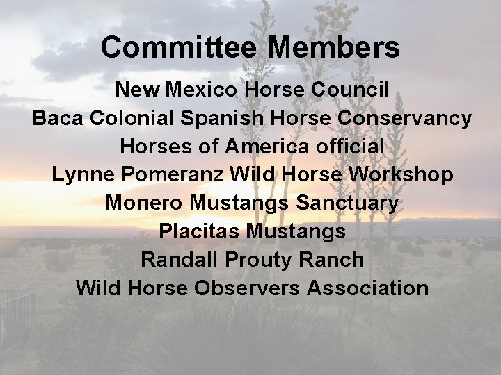 Committee to Promote New Mexicos Wild Horse Parks