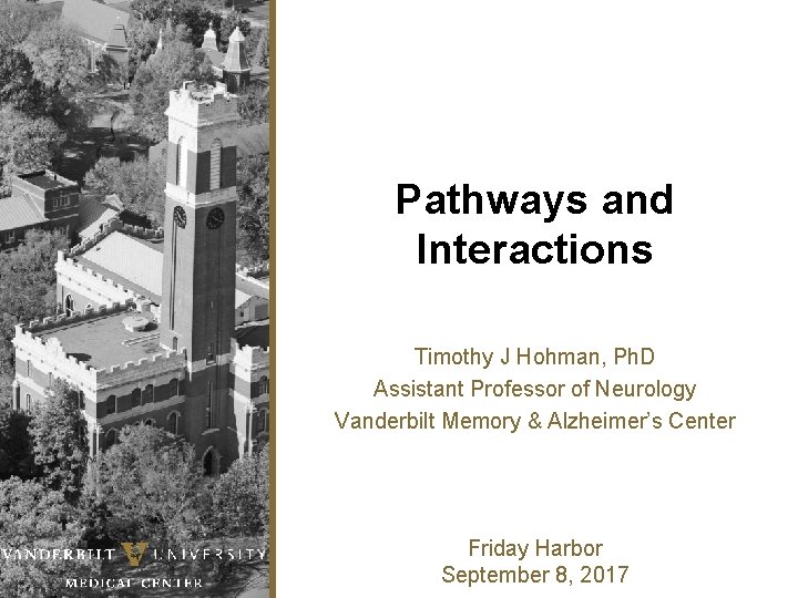 Pathways and Interactions Timothy J Hohman Ph D