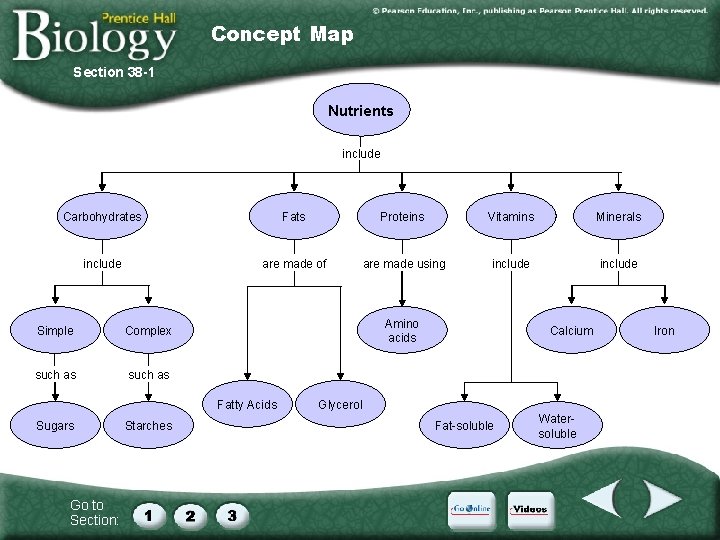 The Digestive System Go to Section Section Outline