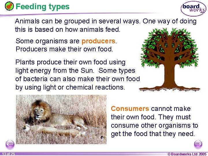 KS 3 Biology 8 D Ecological Relationships 1