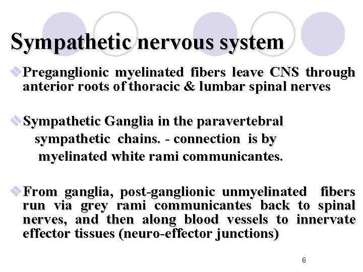 The nervous system v CNS v Brain Spinal