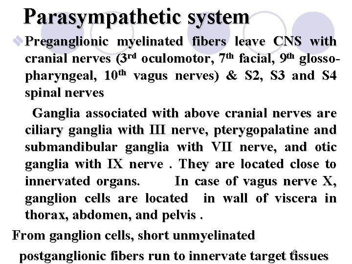 The nervous system v CNS v Brain Spinal