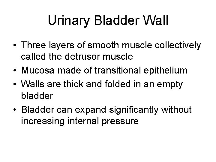 The Urinary System Ureters Slender tubes attaching the