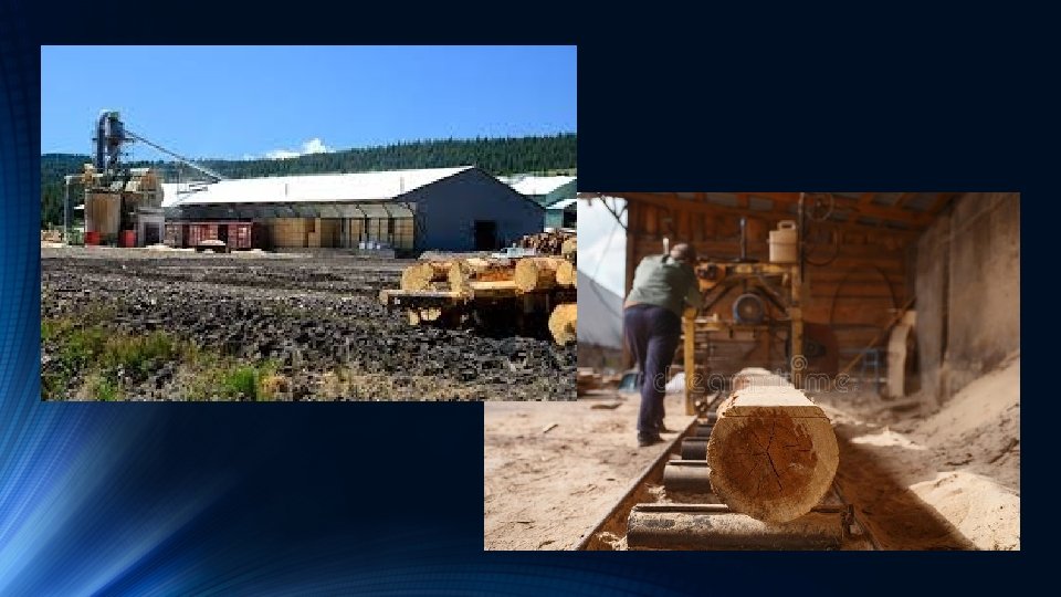 Timber Tax Fairness Oregons Tax Policy Law The