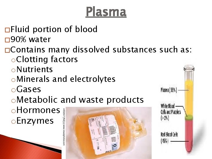 Circulatory System Blood Composition DHO 7 8 pg
