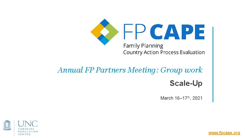 Annual FP Partners Meeting Group work ScaleUp March