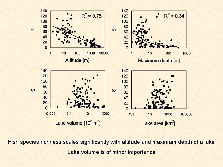 How do diversity and stability depend on productivity