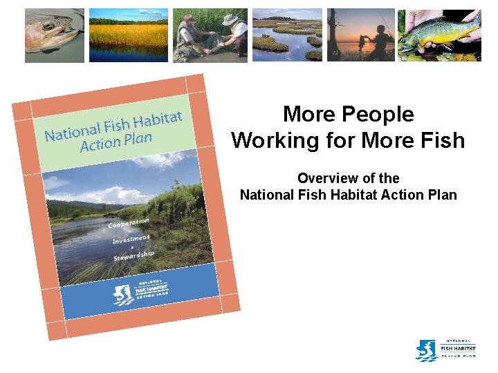 More People Working for More Fish Overview of