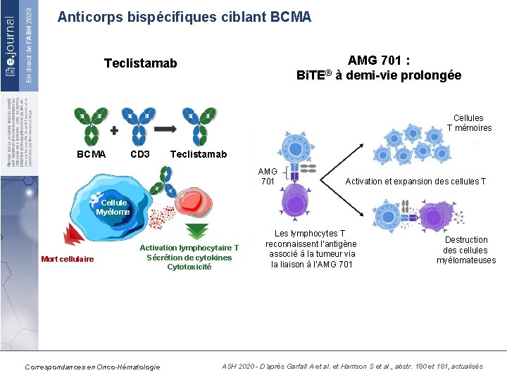 Anticorps bispcifiques ciblant BCMA AMG 701 Bi TE