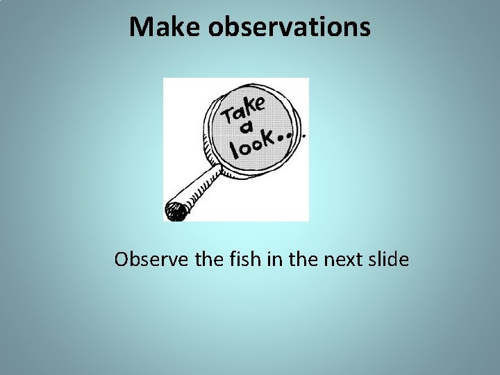 Natural Selection True or False Study each slide